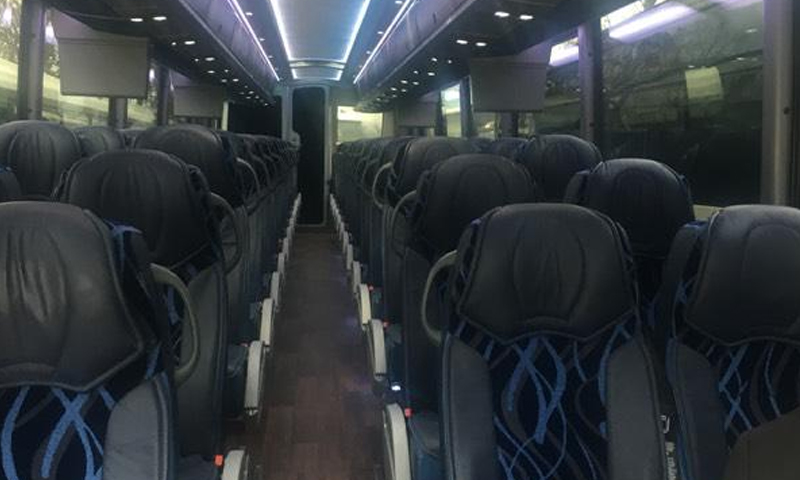 Executive Coach - Sunny Limo