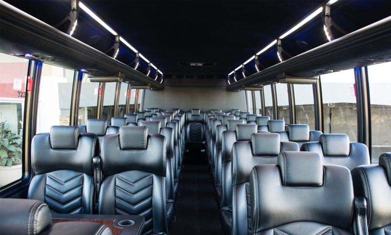 Executive Coach - Sunny Limo